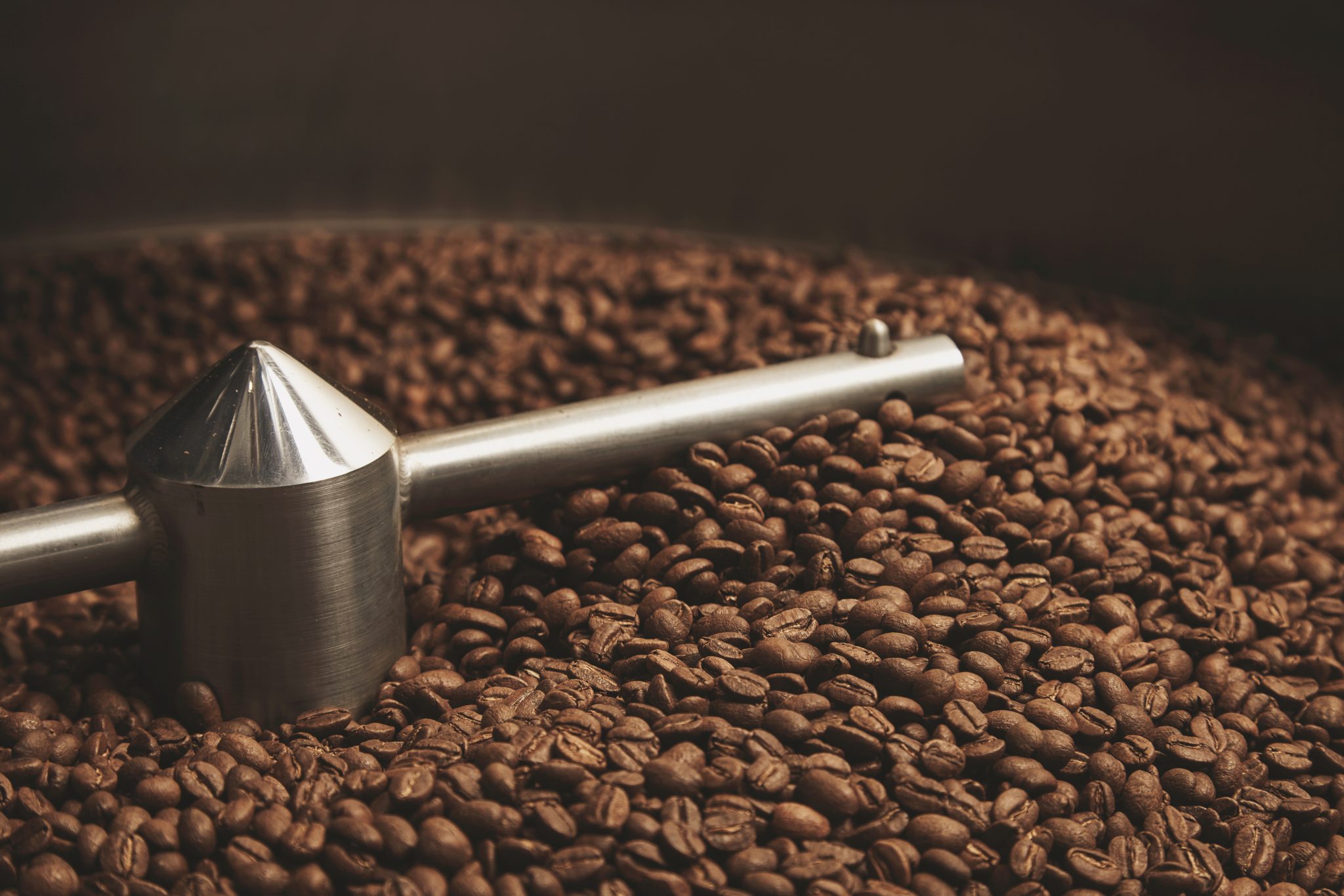 Coffee Processing | Melchers Vietnam